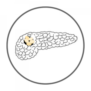 關於多型性膠質母細胞瘤 (GBM) - Everfront Biotech