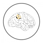 Development Pipeline - Everfront Biotech