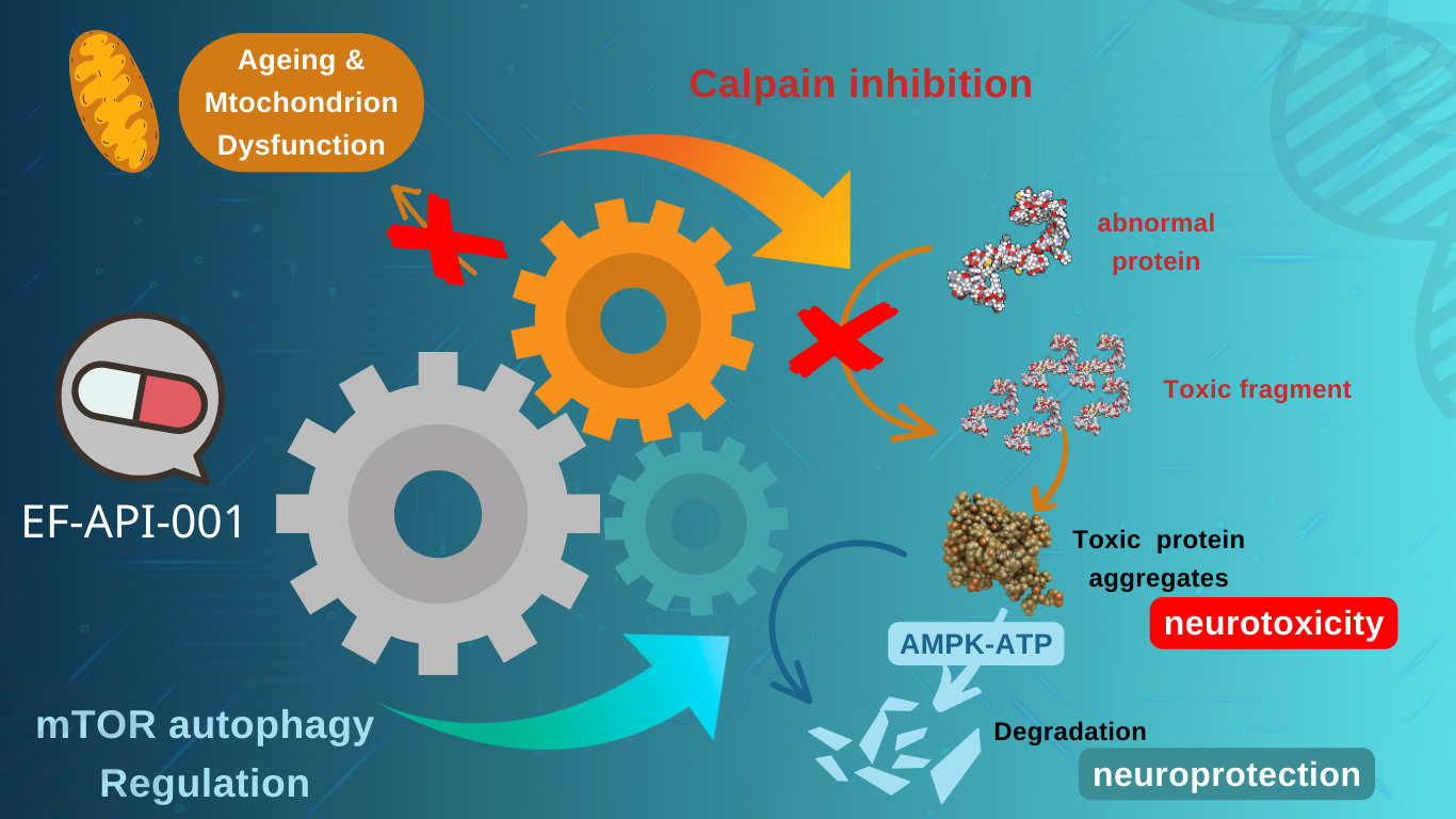 HK-001 | ALS Treatment - Everfront Biotech