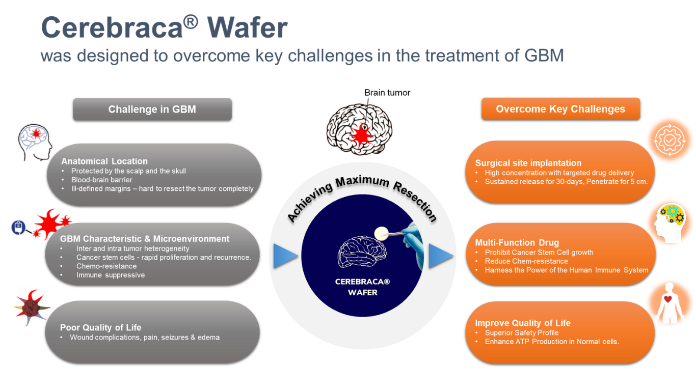 Facing Challenges in Brain Cancer Treatment - Everfront Biotech