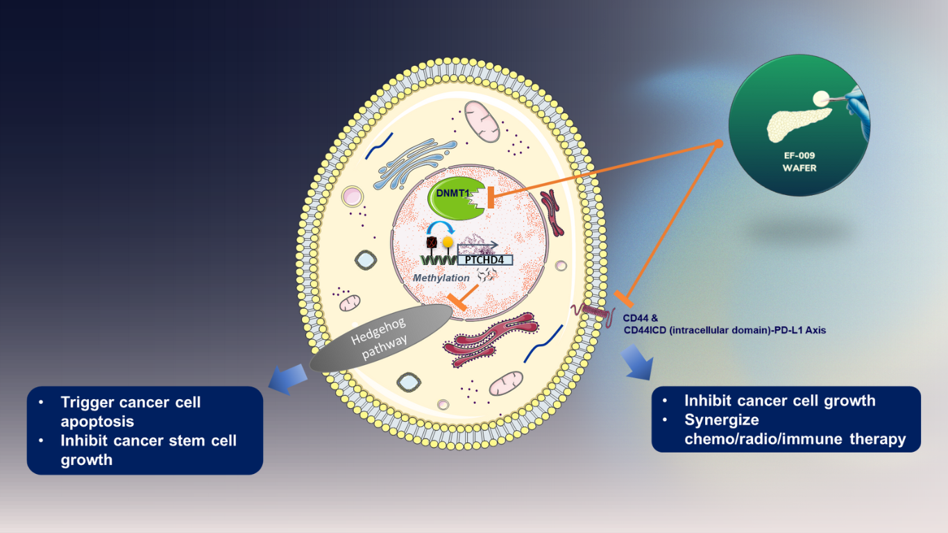 EF-009 - Everfront Biotech