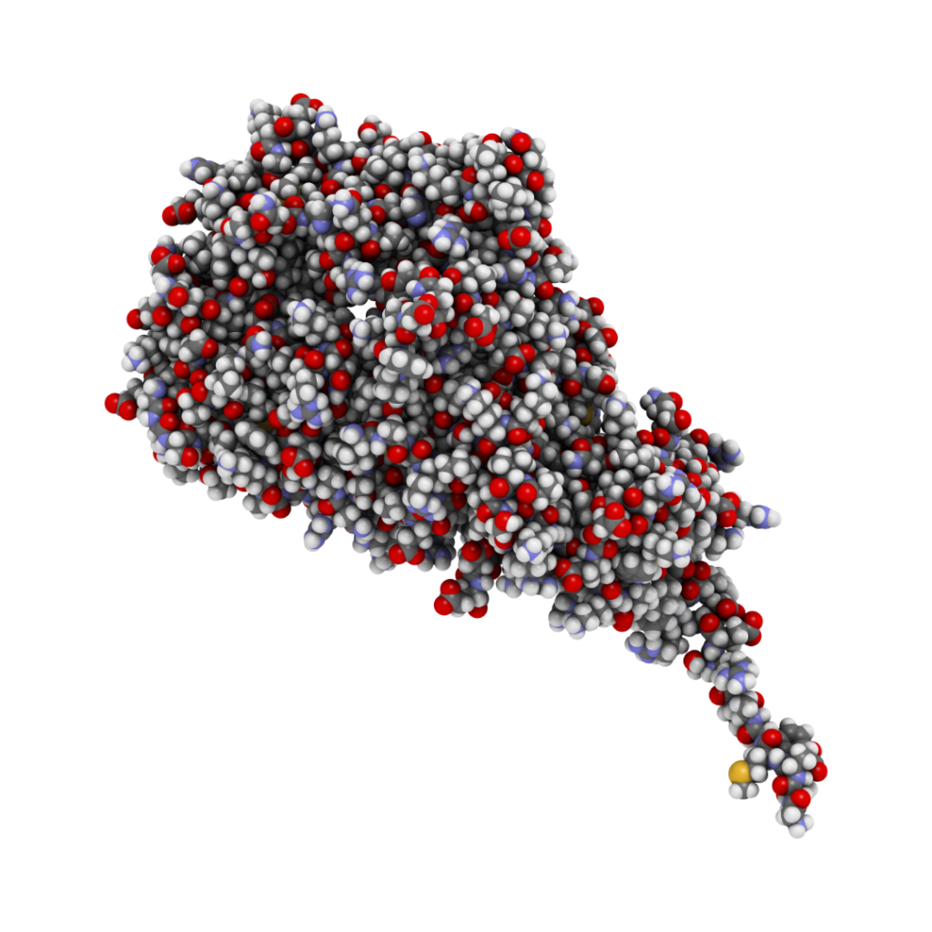 AMPK：延緩衰老的秘密 - Everfront Biotech