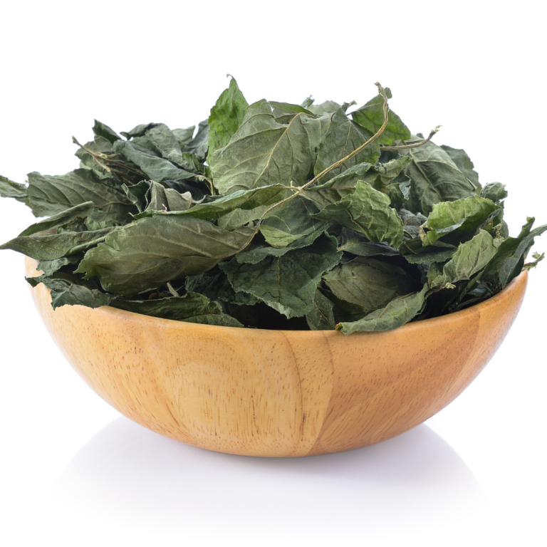 AMPK：延緩衰老的秘密 - Everfront Biotech