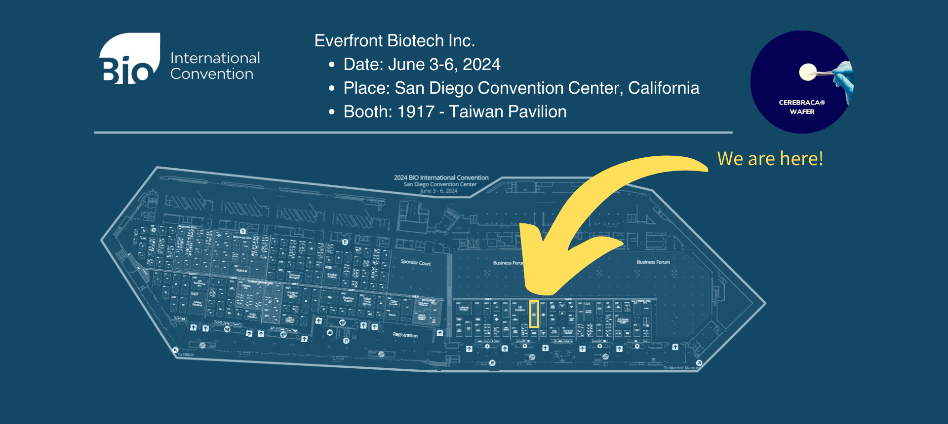 Everfront Biotech - Rising Star in Pharmaceutical Innovation